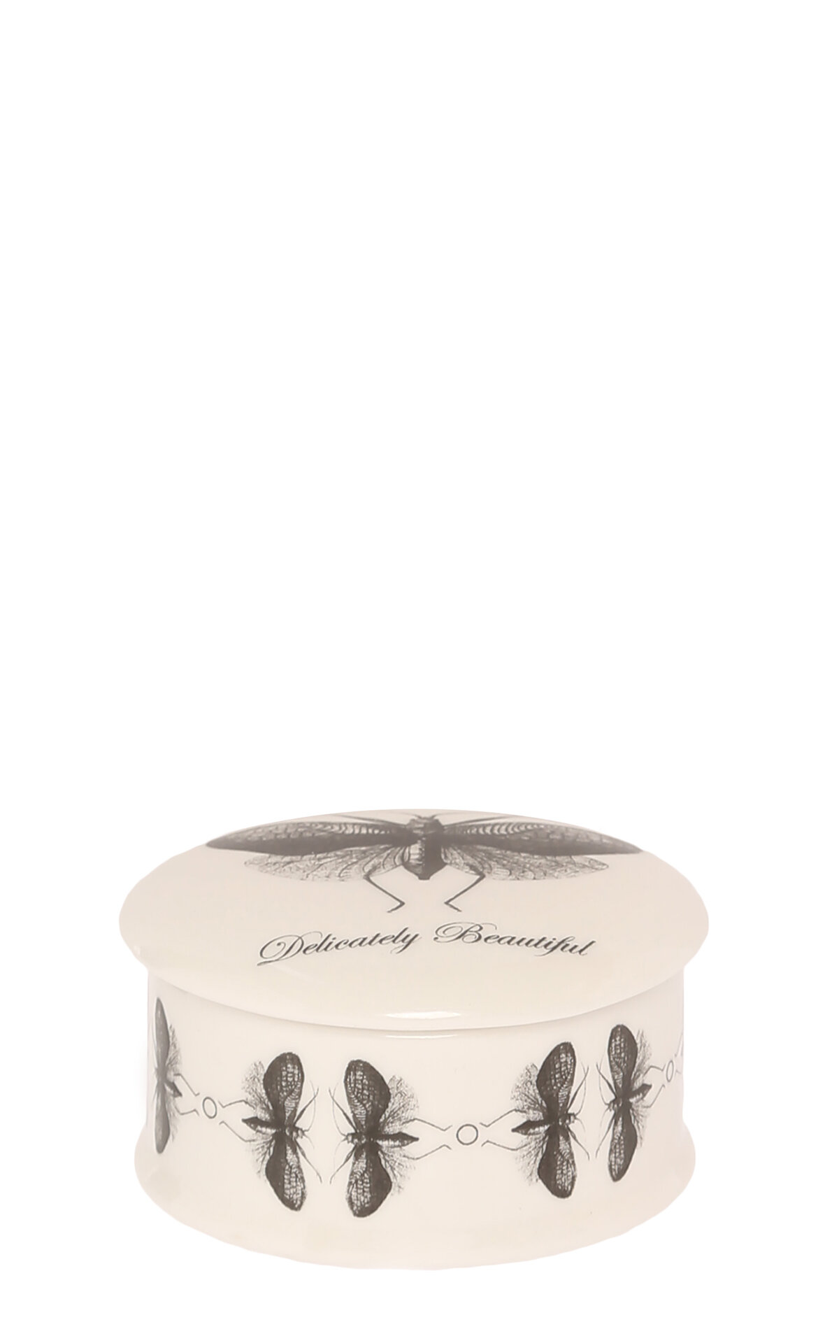 The New English-The New English Kutu