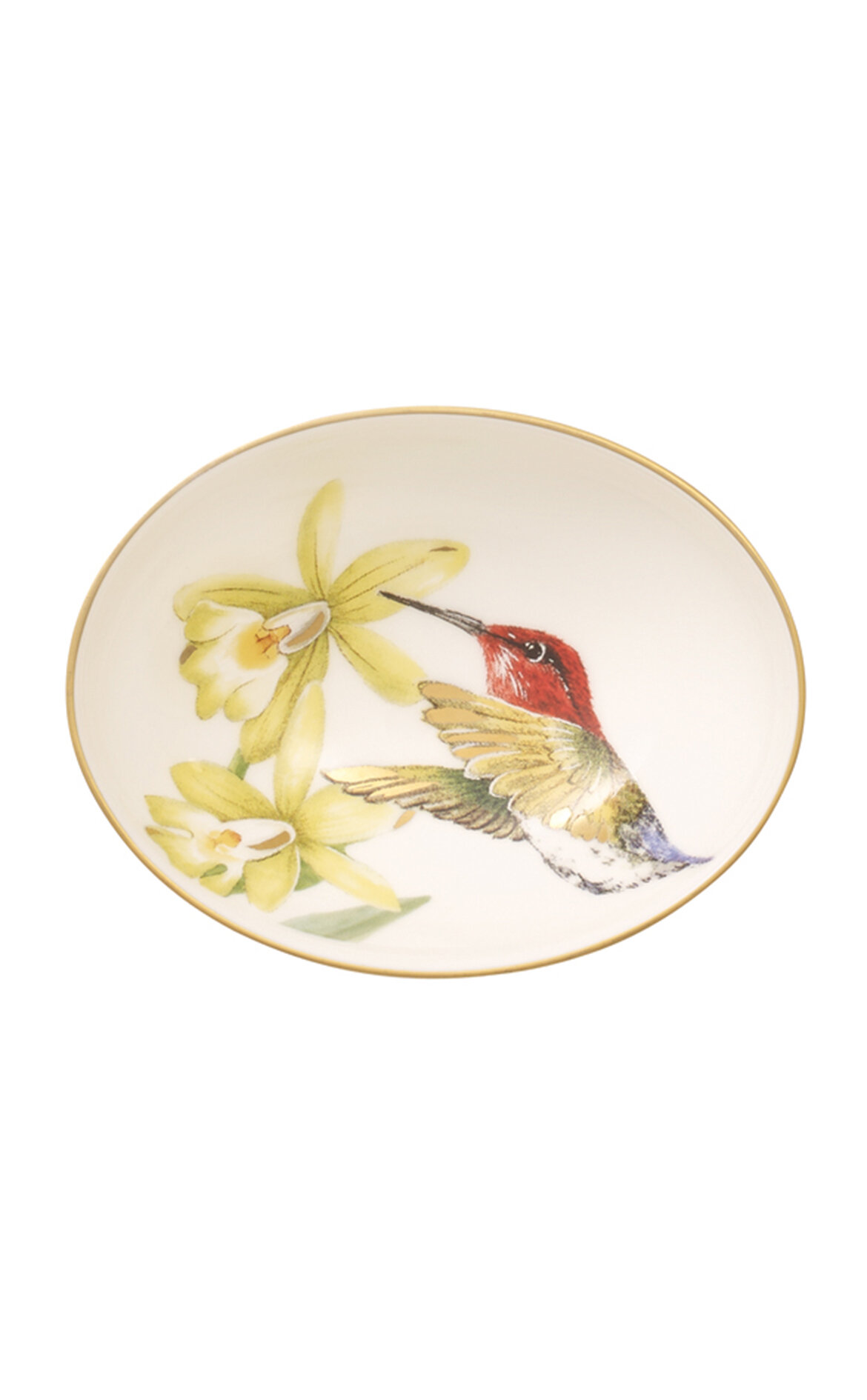 Villeroy & Boch- Amazonia Kase
