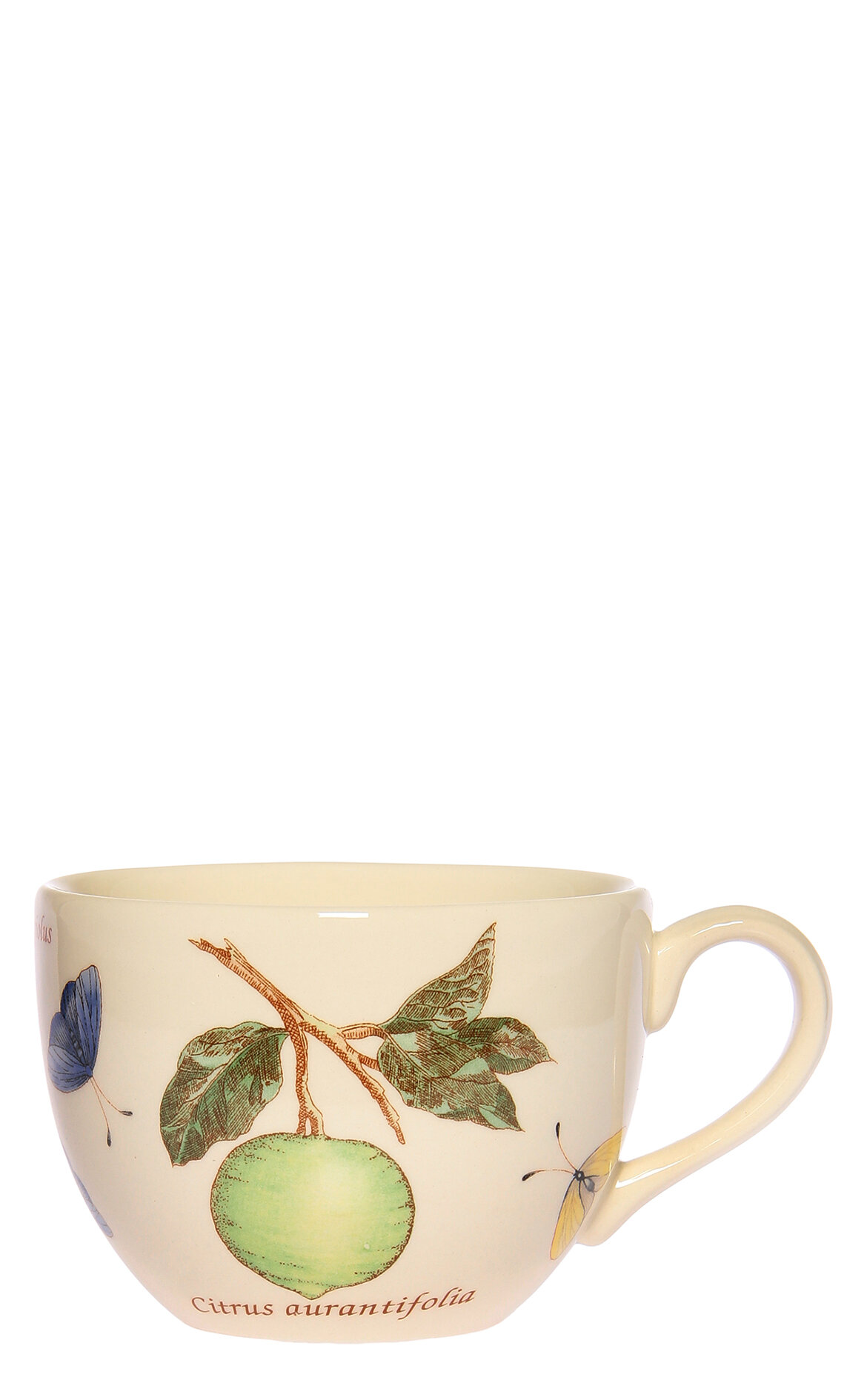 Wedgewood-Wedgewood Standart Çay Fincanı