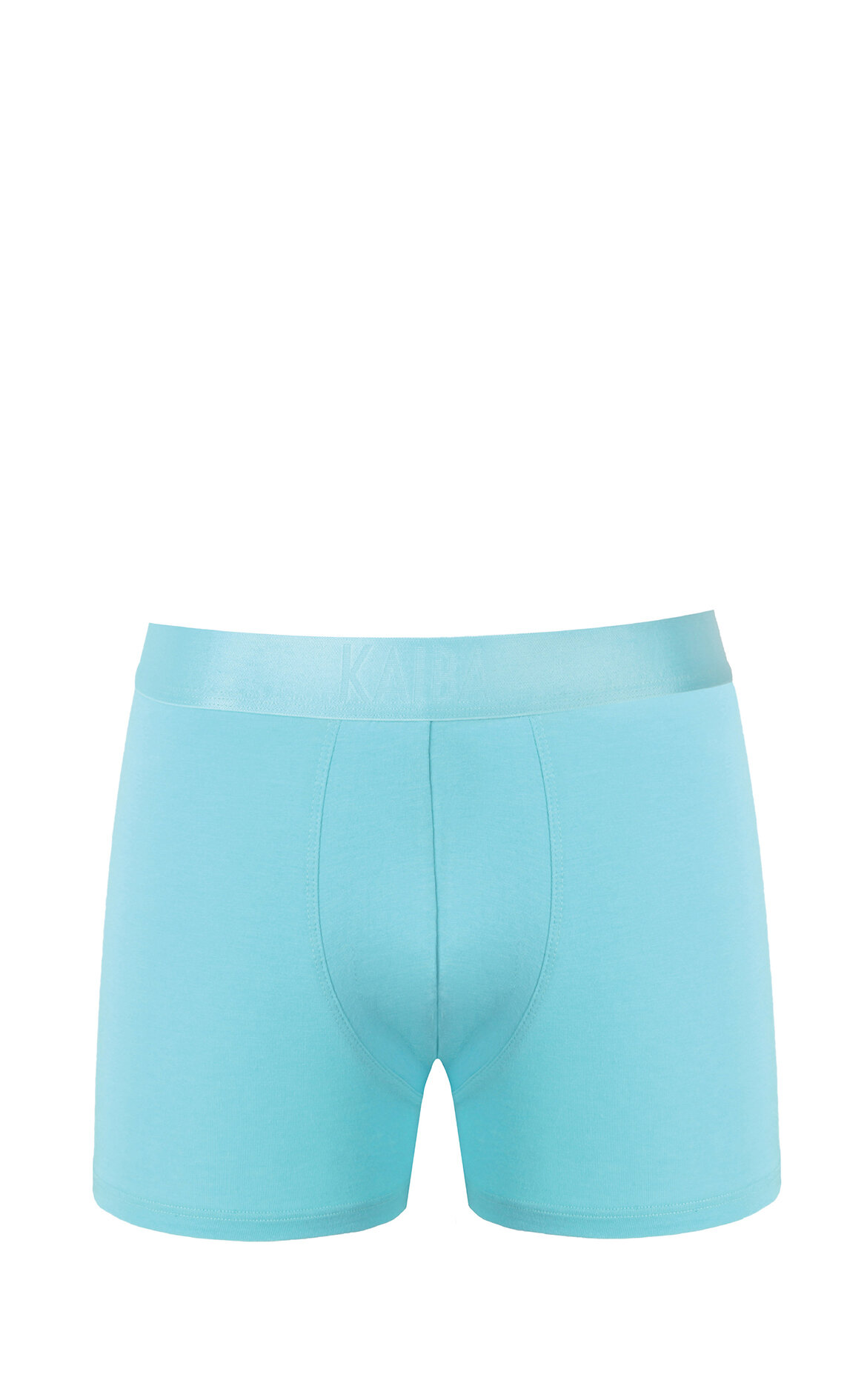 Kaiba-Kaiba Mavi Boxer