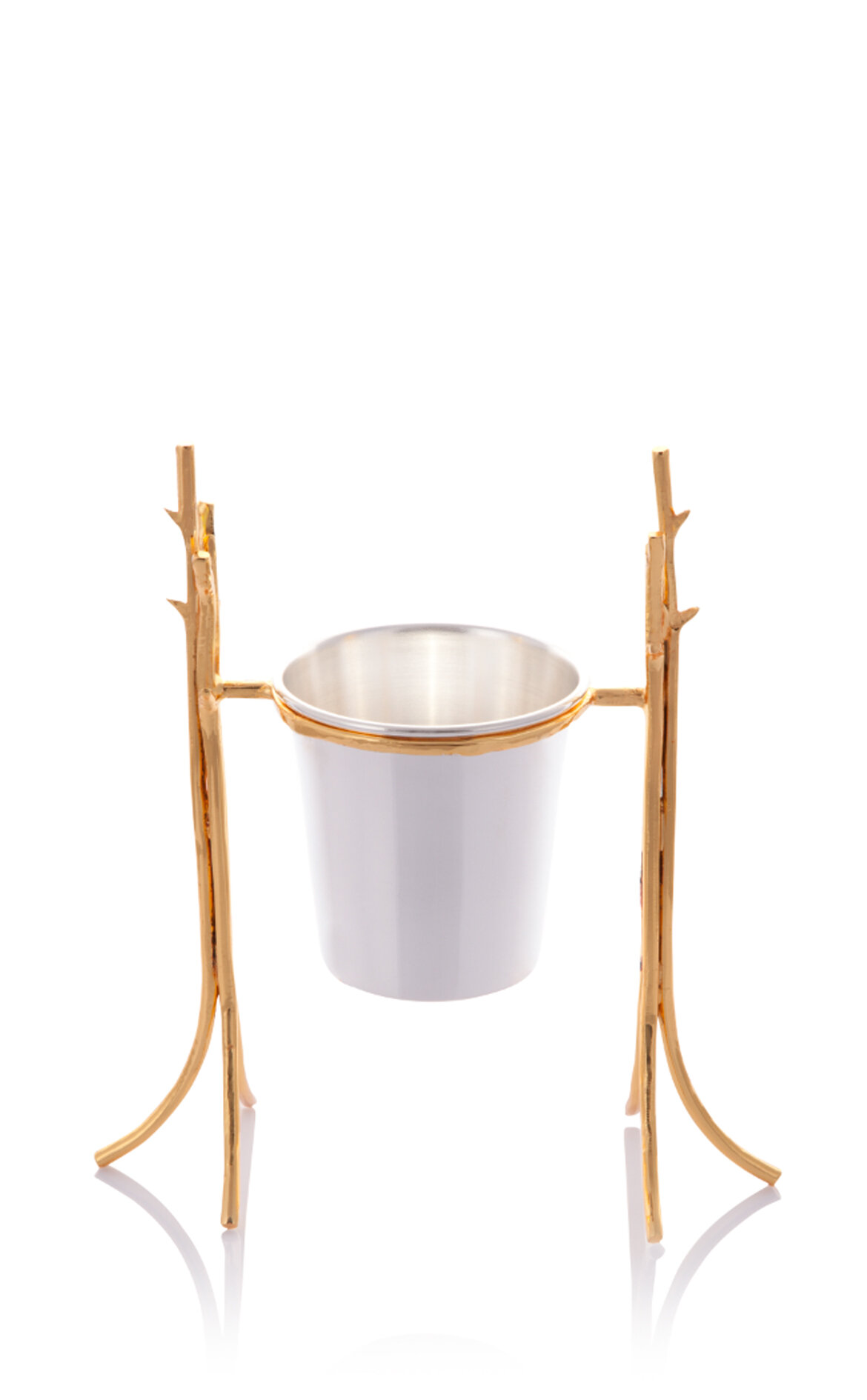 Accract-Accract Saksı