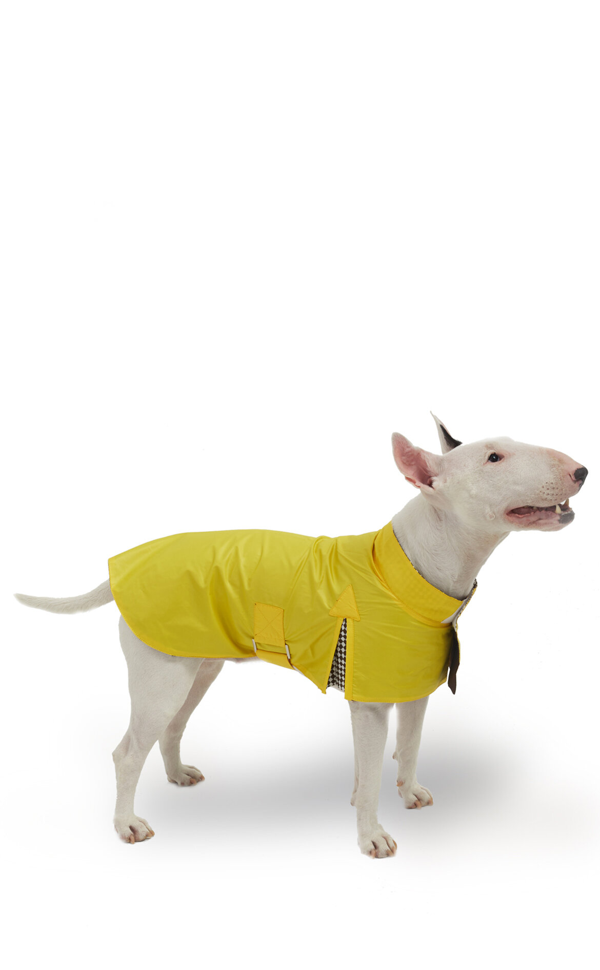 Coucou-Coucou 'Sethos' Yağmurluk