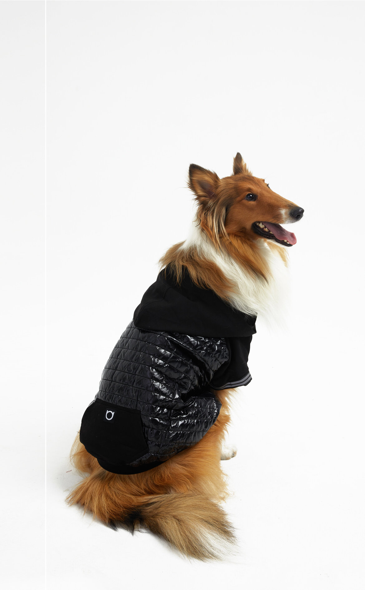 Coucou-Coucou 'Merula' Mont