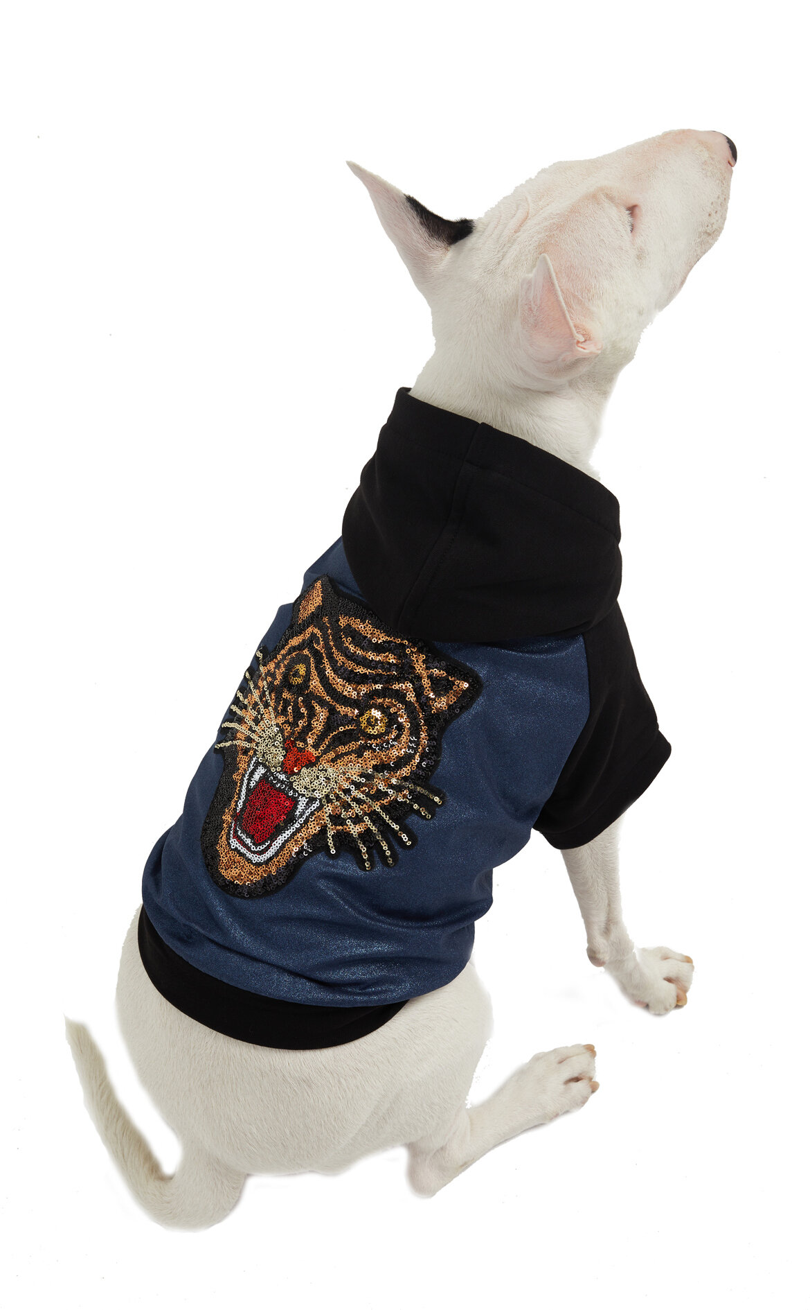 Coucou-Coucou 'Tiğris' Kot Ceket