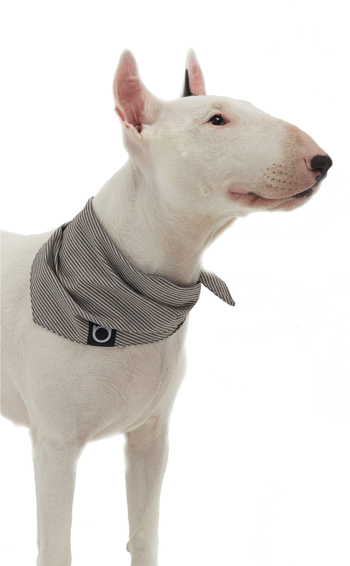 Coucou-Coucou ğri Bandana