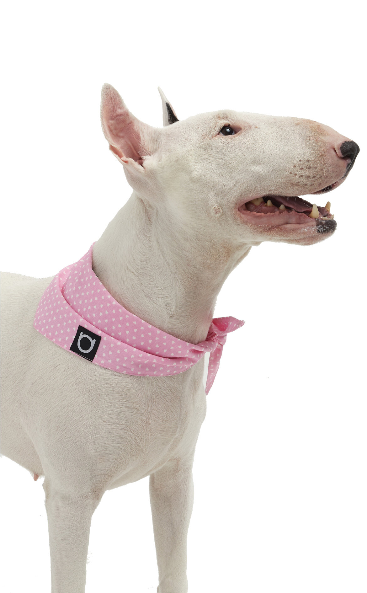 Coucou-Coucou Pembe Bandana