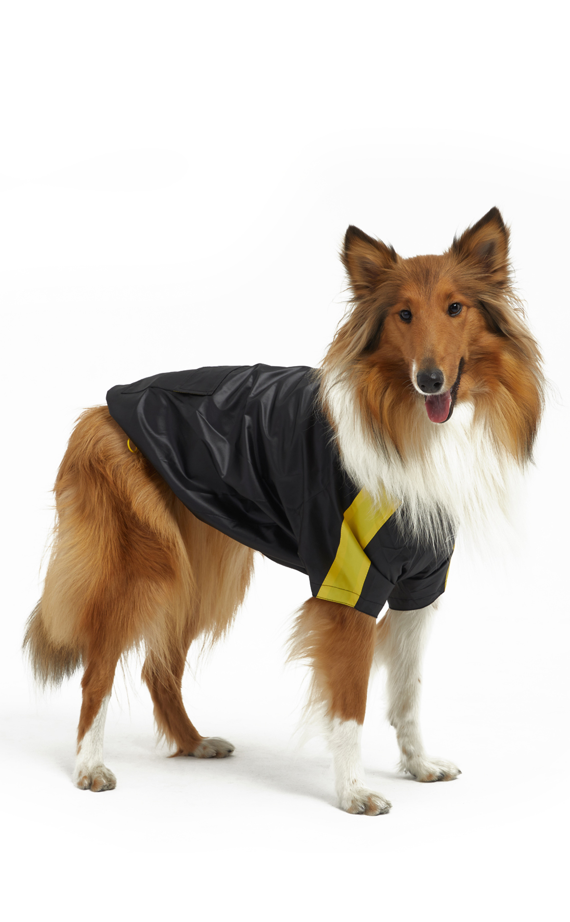 Coucou-Coucou 'Stripe' Köpek Yağmurluğu Coucou-Coucou 'Stripe' Köpek Yağmurluğu