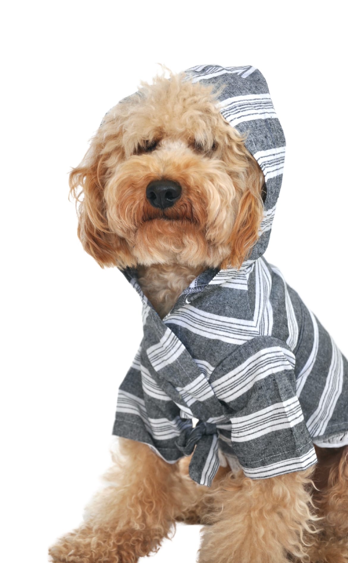 Kajuland-Kajuland Köpek Bornozu Kajuland-Kajuland Köpek Bornozu