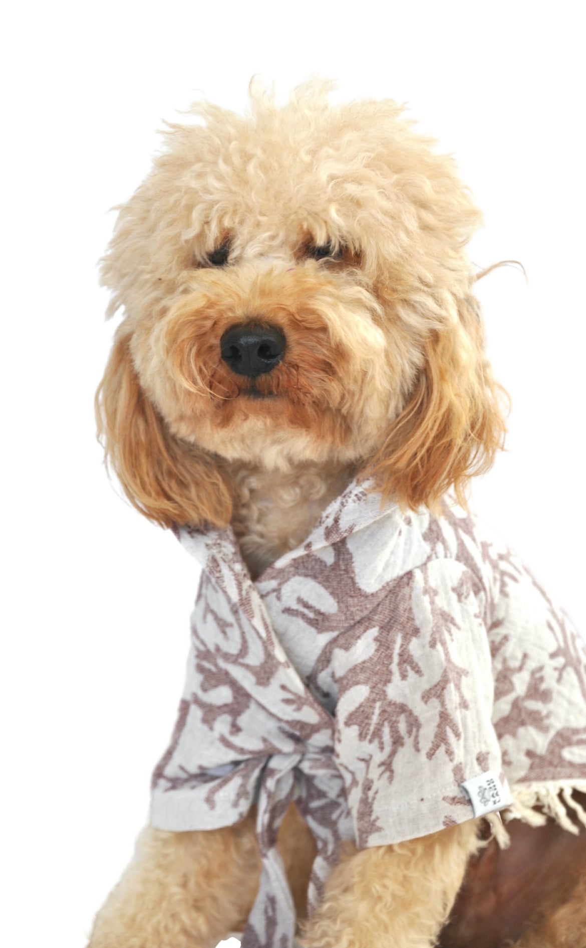 Kajuland-Kajuland Köpek Bornozu Kajuland-Kajuland Köpek Bornozu