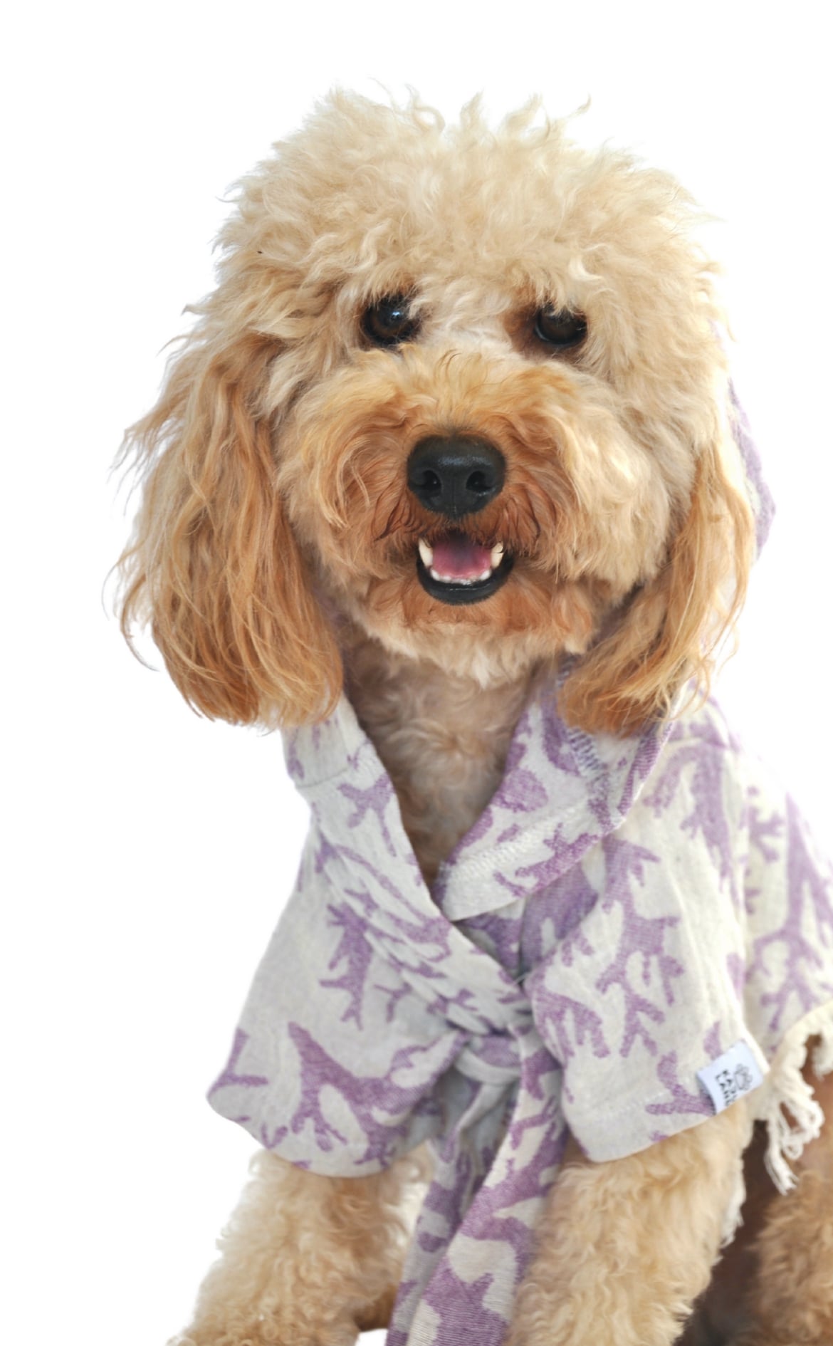 Kajuland-Kajuland Köpek Bornozu Kajuland-Kajuland Köpek Bornozu