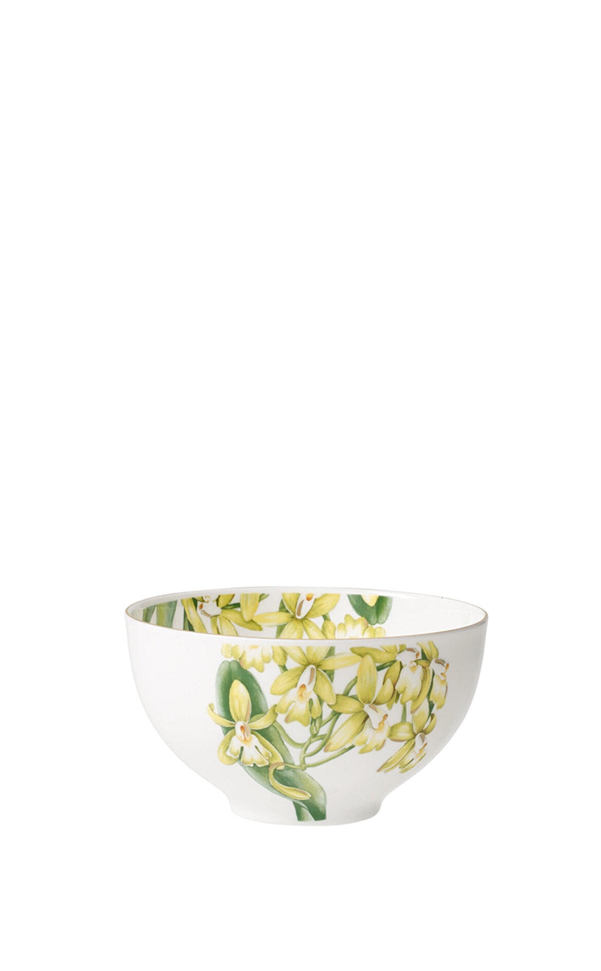 Villeroy & Boch- Amazonia Kase Villeroy & Boch- Amazonia Kase