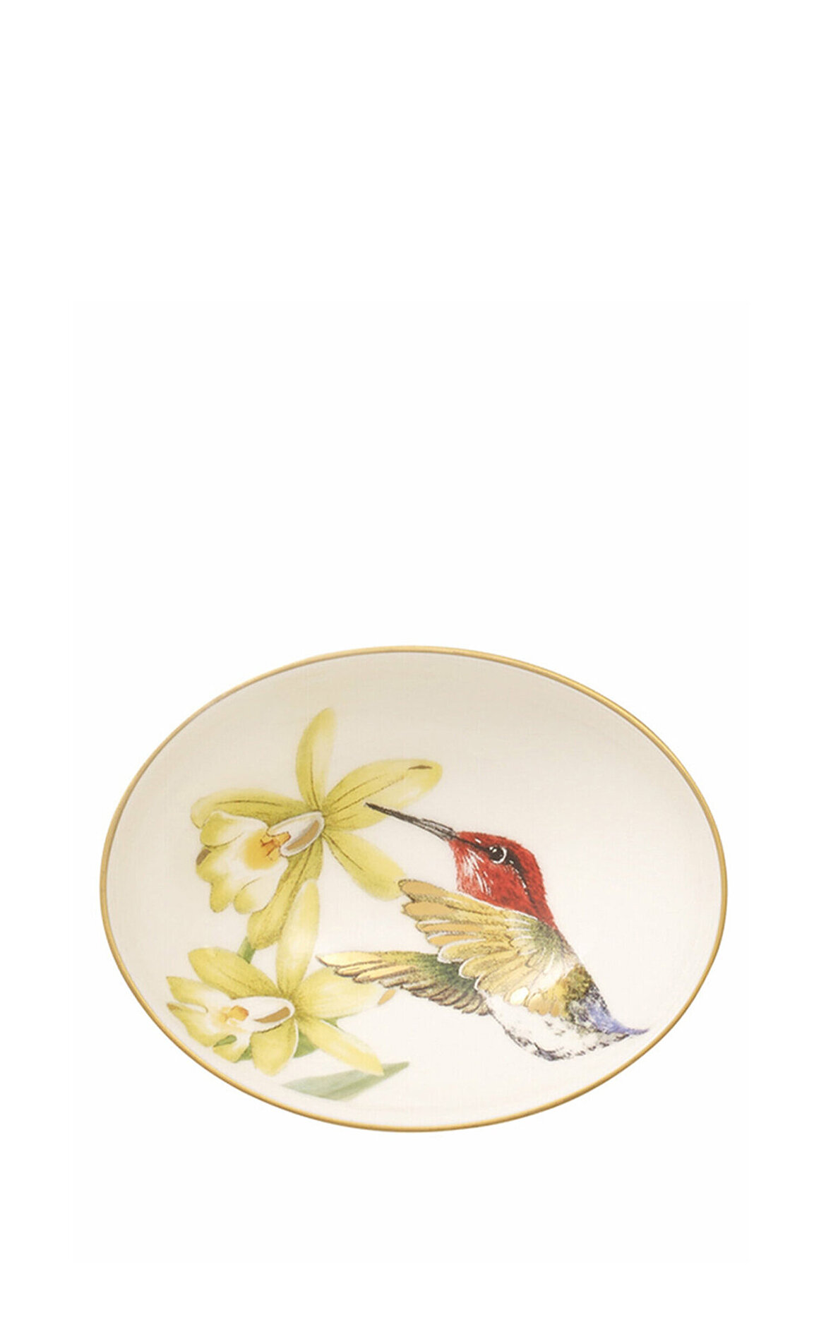 Villeroy & Boch- Amazonia Kase Villeroy & Boch- Amazonia Kase