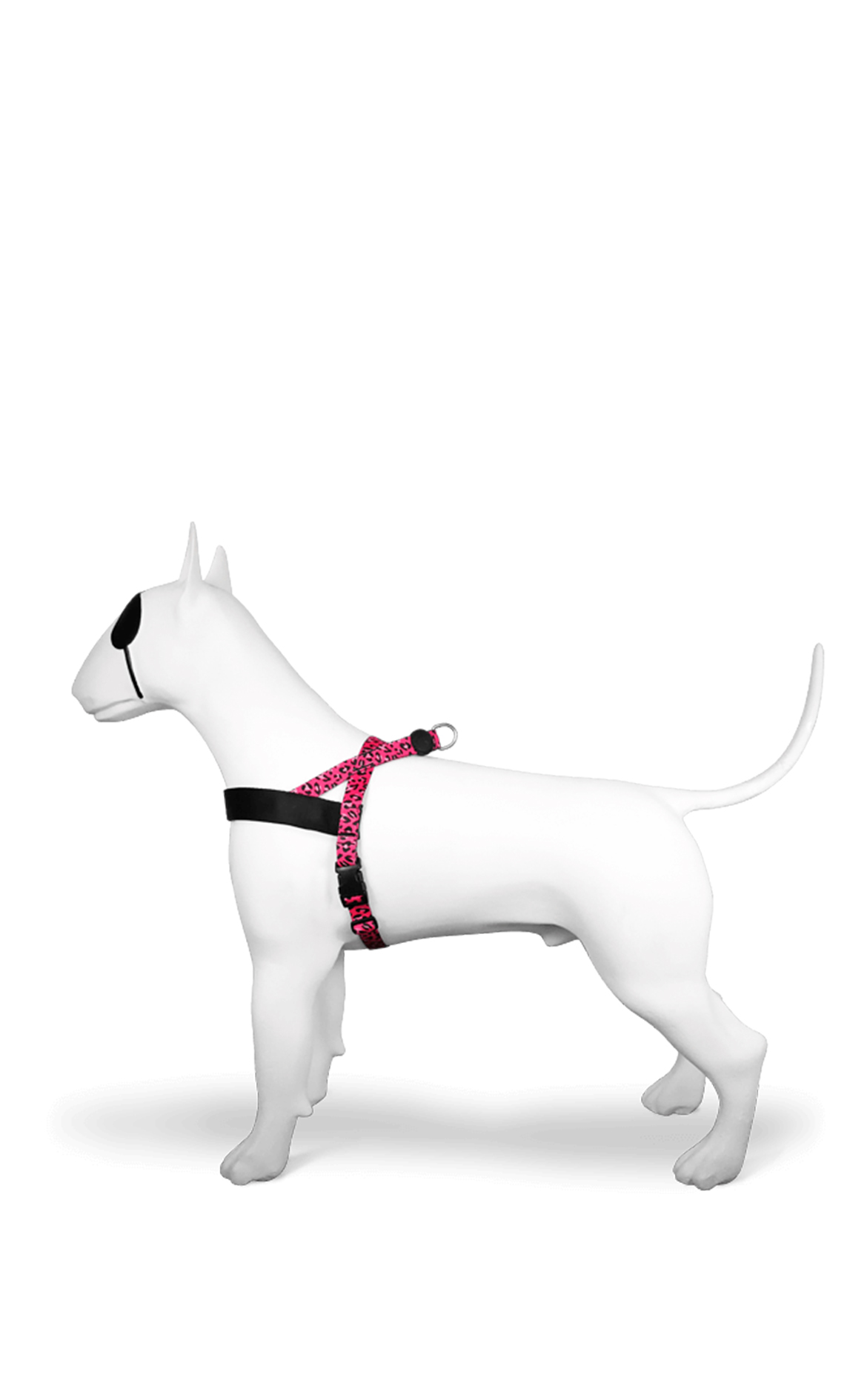 Morso-Morso Tanımsız