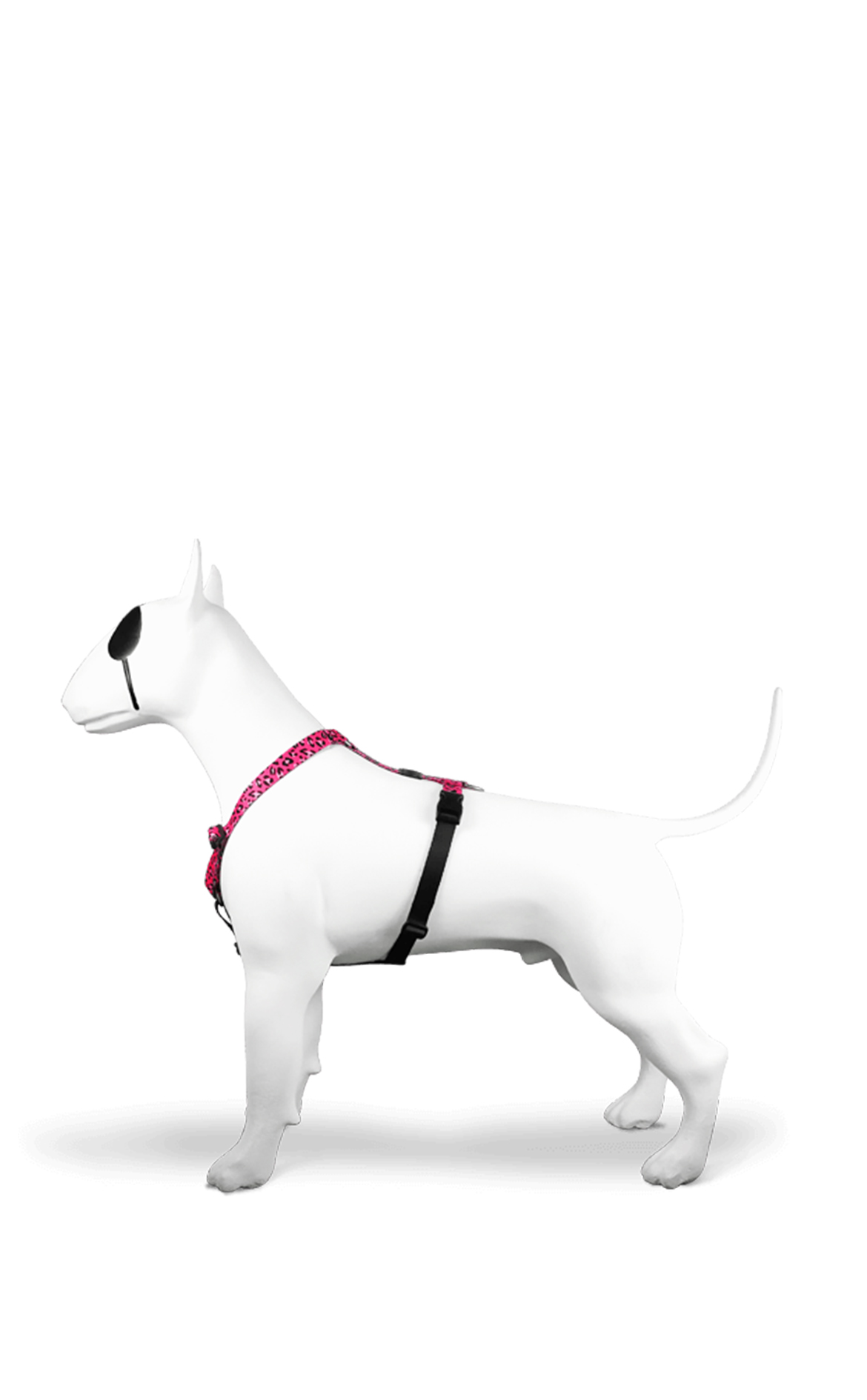 Morso-Morso Tanımsız