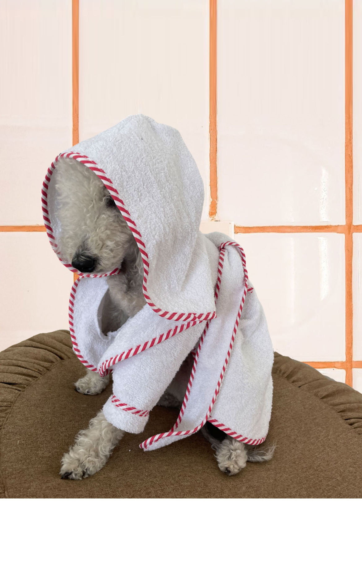 St-Pia-St-Pia Köpek Bornozu St-Pia-St-Pia Köpek Bornozu