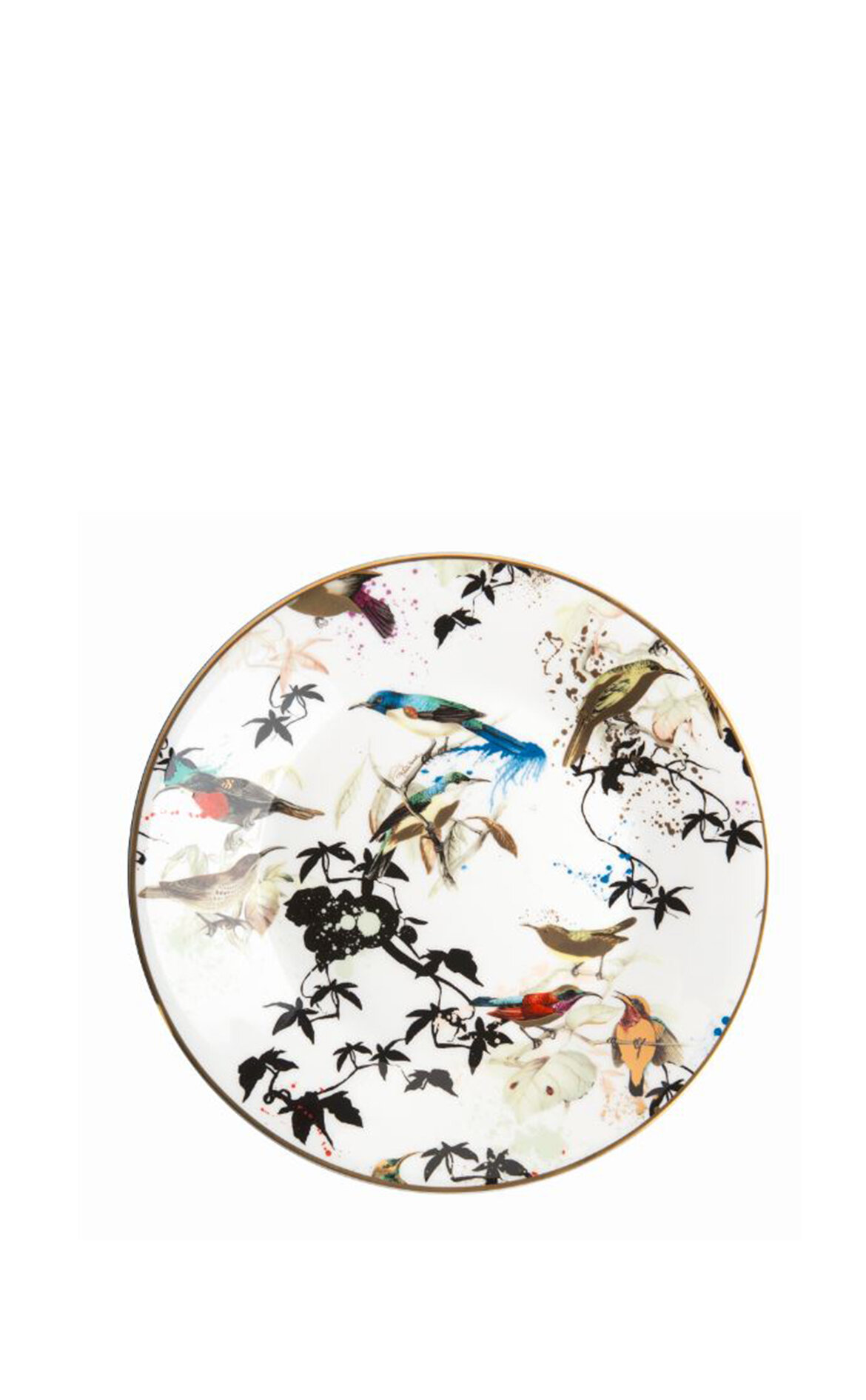 Roberto Cavalli-Garden's Birds Pasta Tabağı 21,5 cm